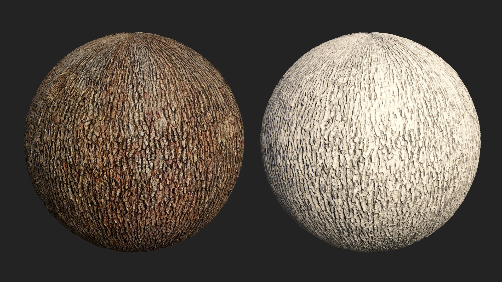 3D Oak Bark PBR Tiled Texture 8K Model - TurboSquid 2432172
