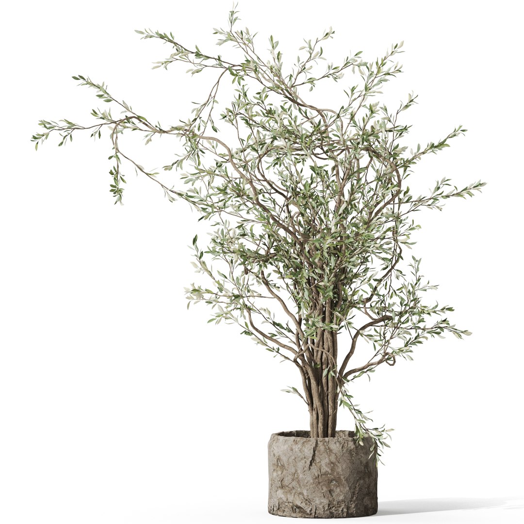 3D Model Plants Collection 1049 - TurboSquid 2200877