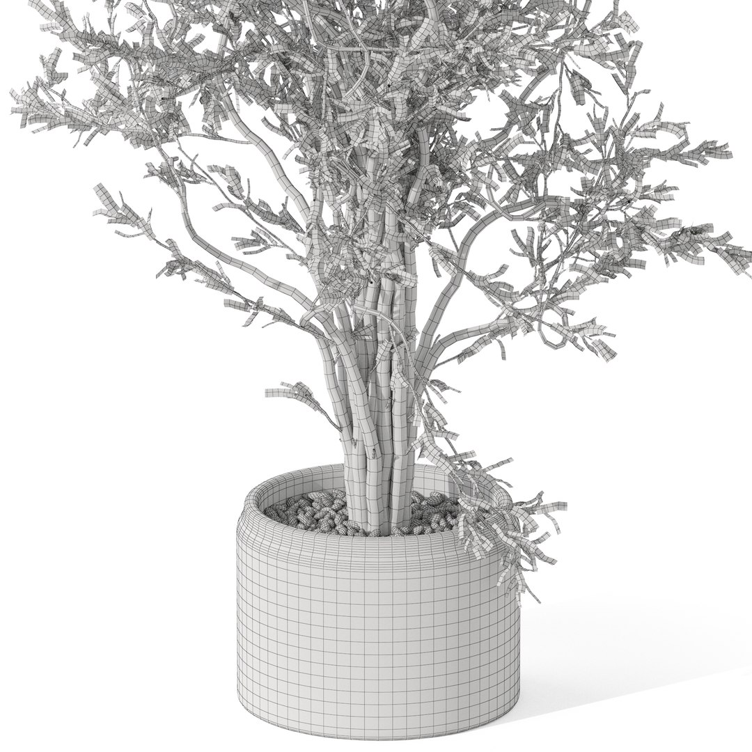 3D Model Plants Collection 1049 - TurboSquid 2200877