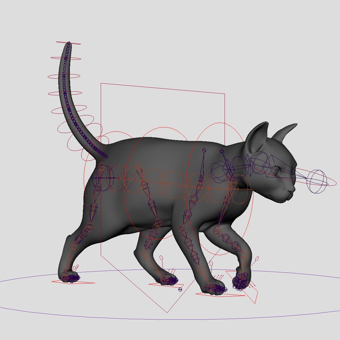 maya cat mackerel tabby fur