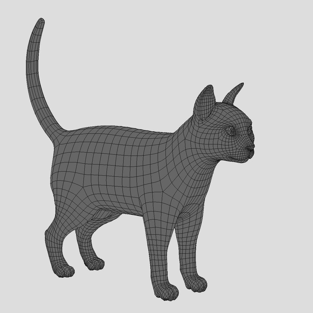 maya cat mackerel tabby fur