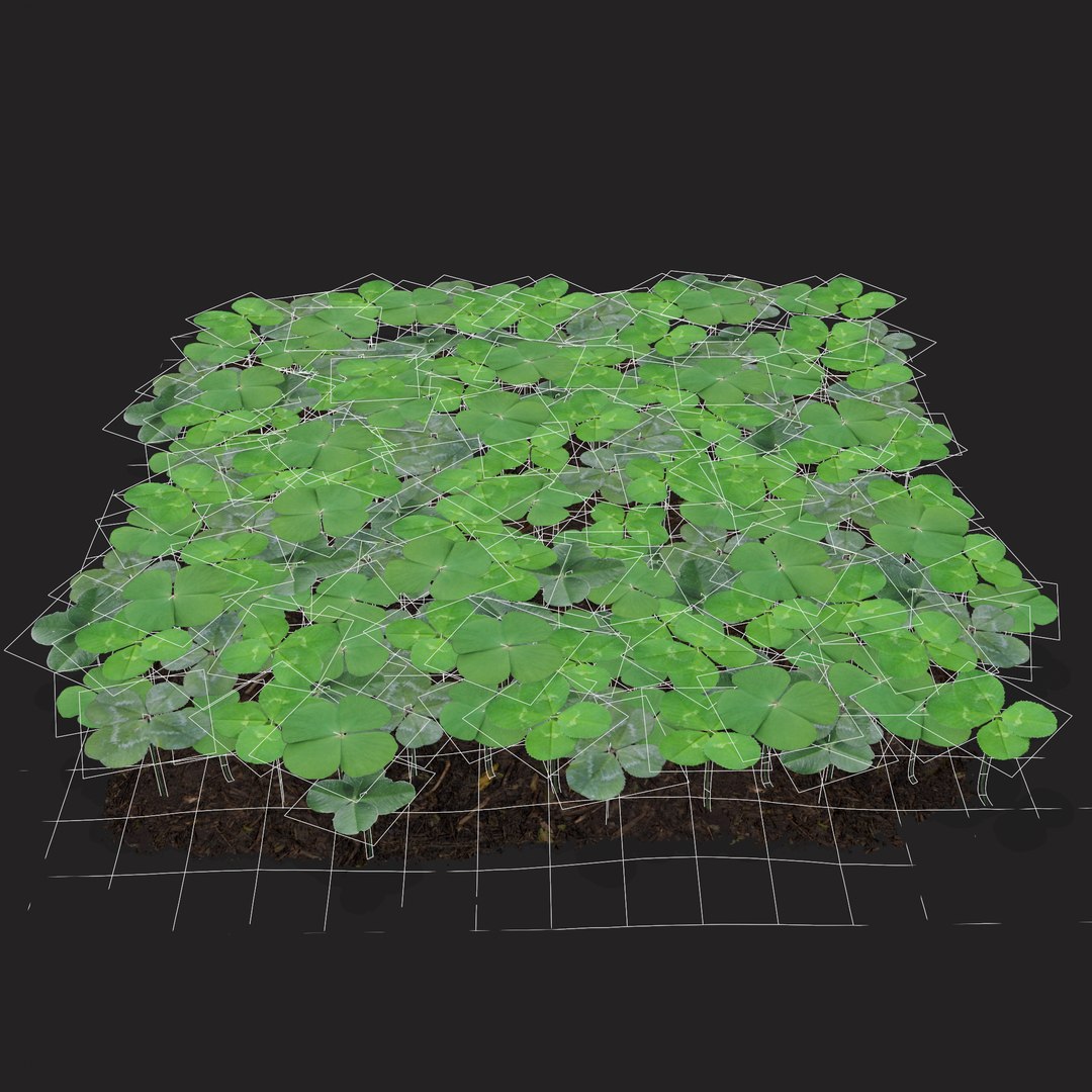 3D Model Four Leaf Clover Patch - TurboSquid 1872702