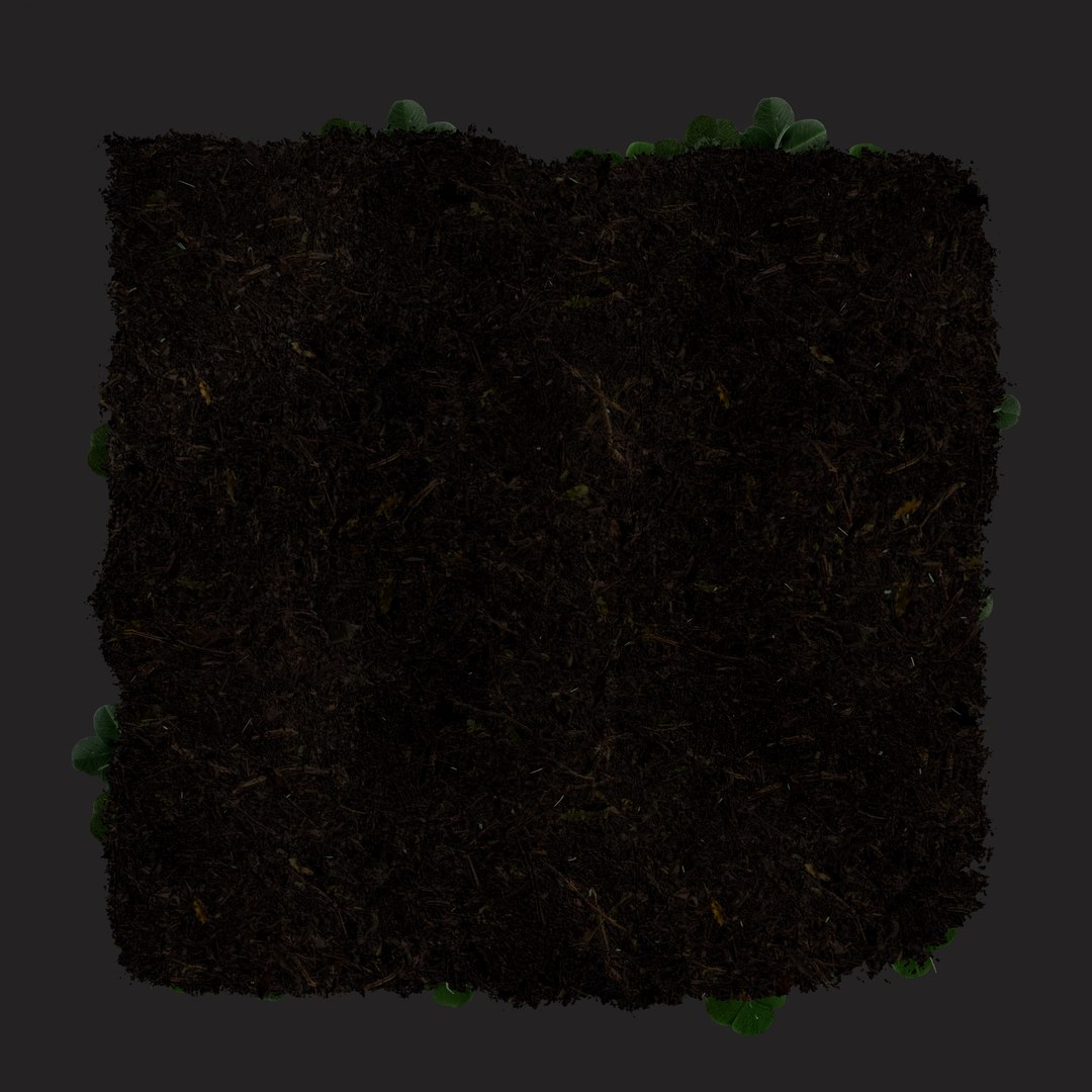 3D Model Four Leaf Clover Patch - TurboSquid 1872702