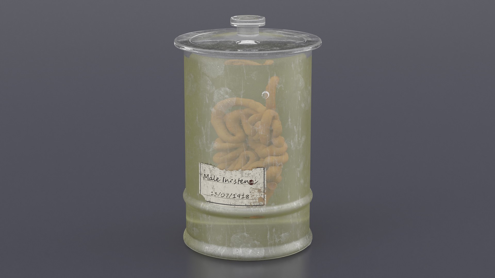 Human Organs In A Old Jar Collection 3D Model - TurboSquid 2299341