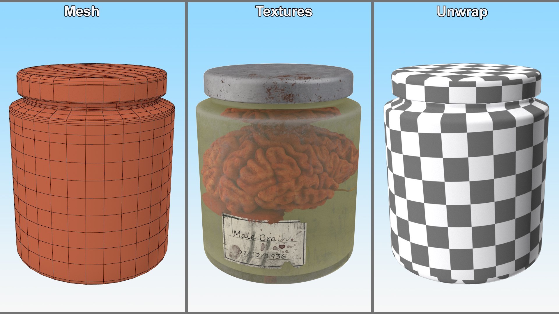 Human Organs In A Old Jar Collection 3D Model - TurboSquid 2299341