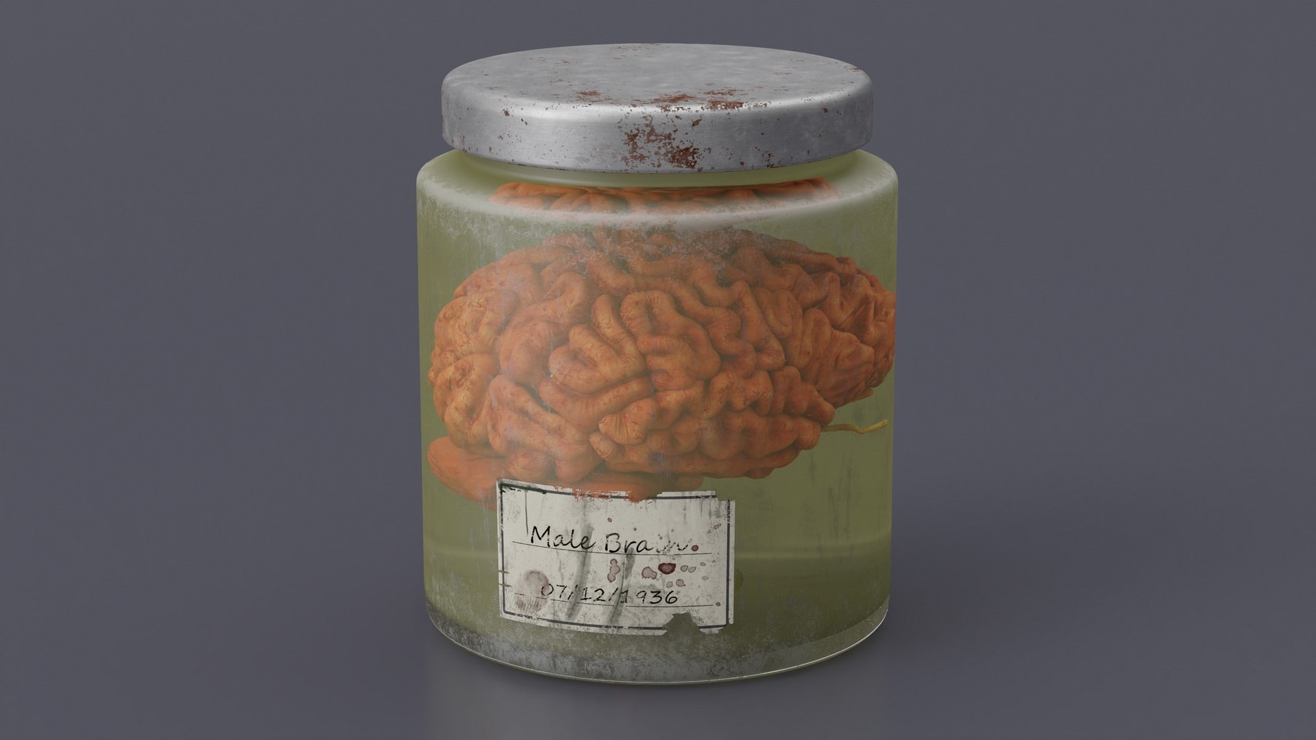 Human Organs In A Old Jar Collection 3D Model - TurboSquid 2299341