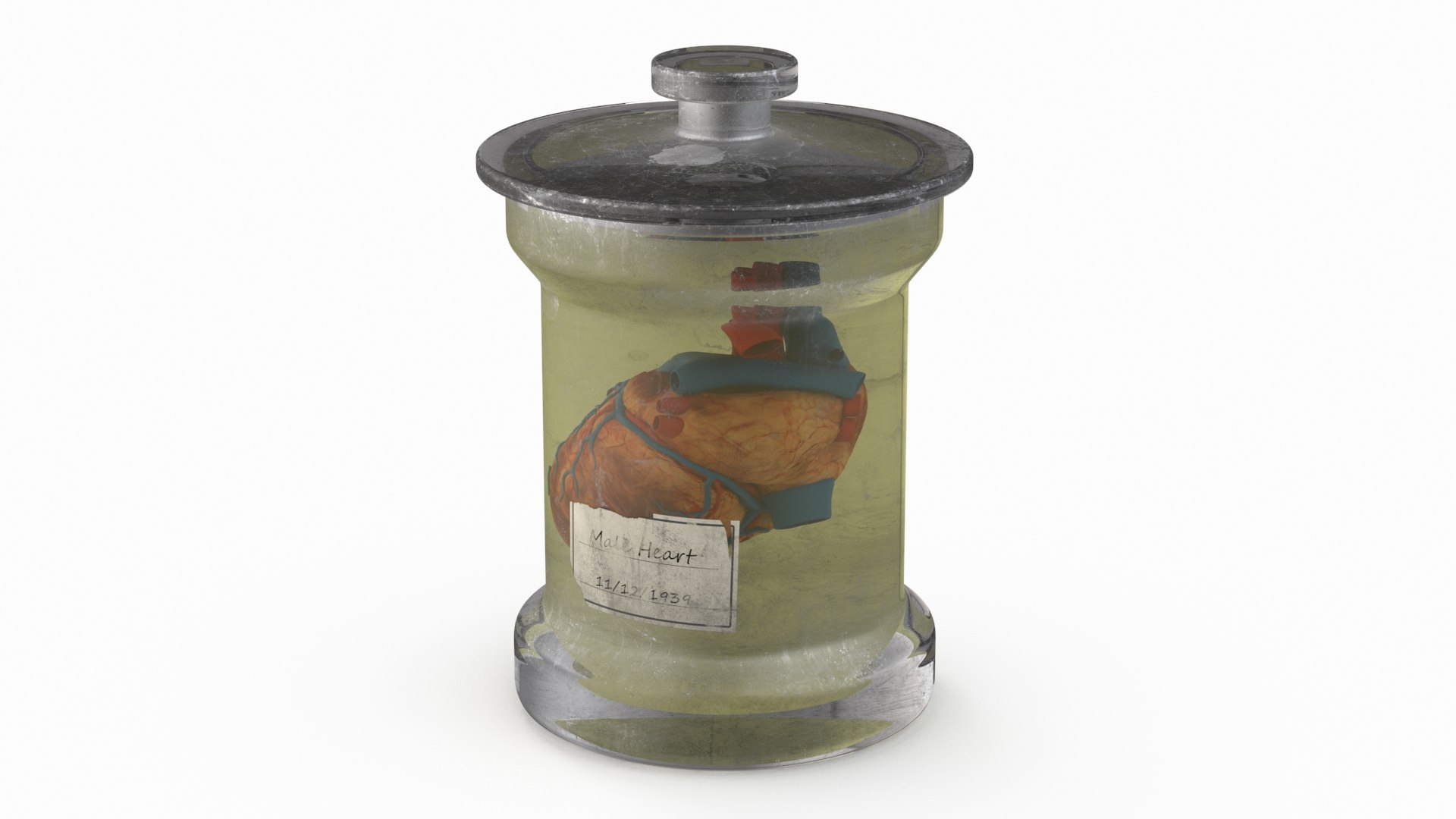Human Organs In A Old Jar Collection 3D Model - TurboSquid 2299341