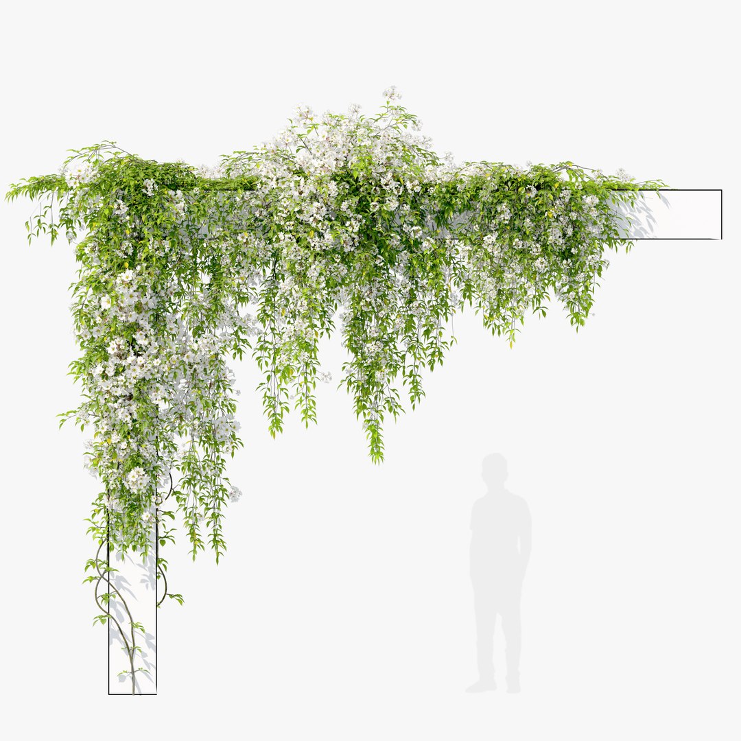 Hanging Plant 53 3D Model - TurboSquid 2408382