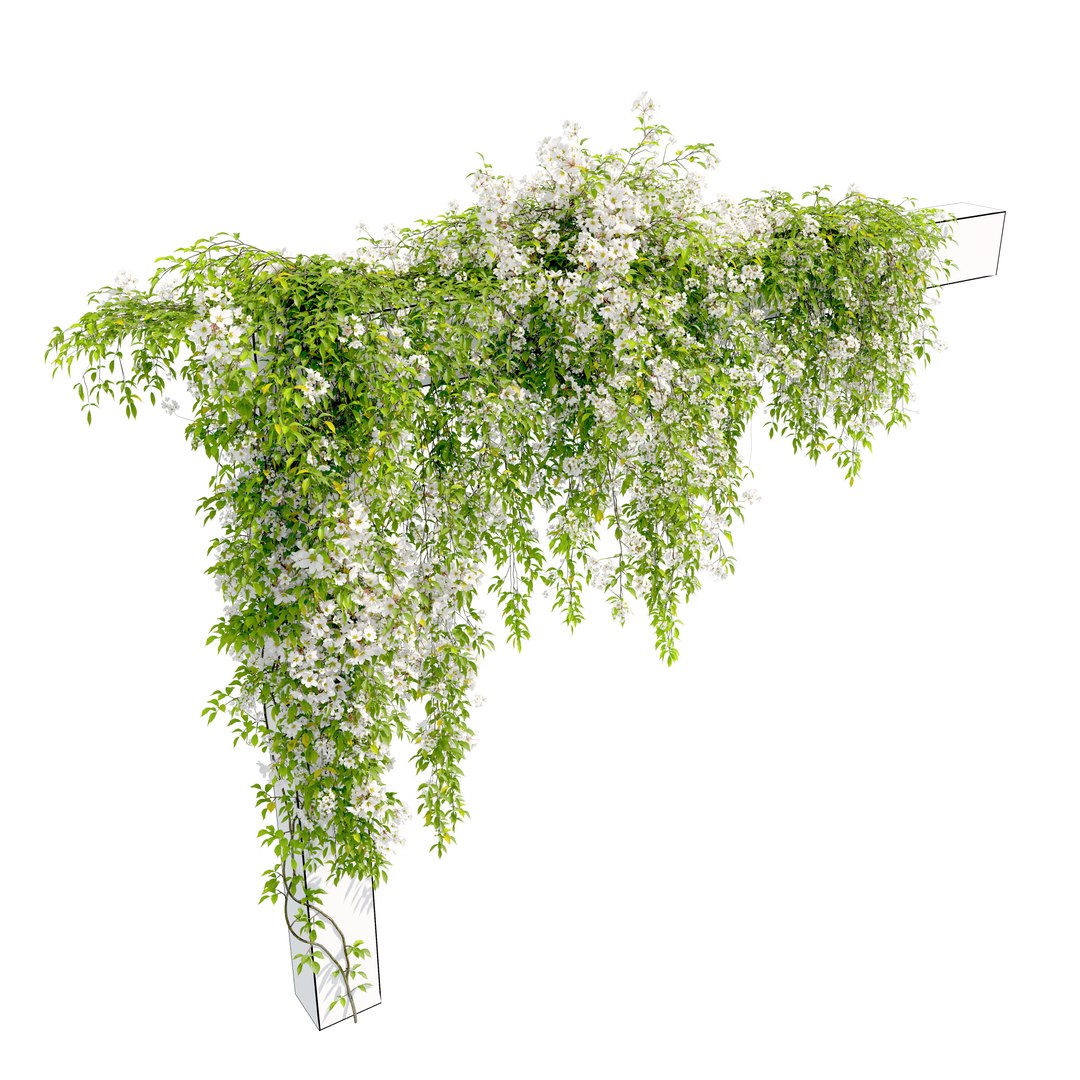 Hanging Plant 53 3D Model - TurboSquid 2408382