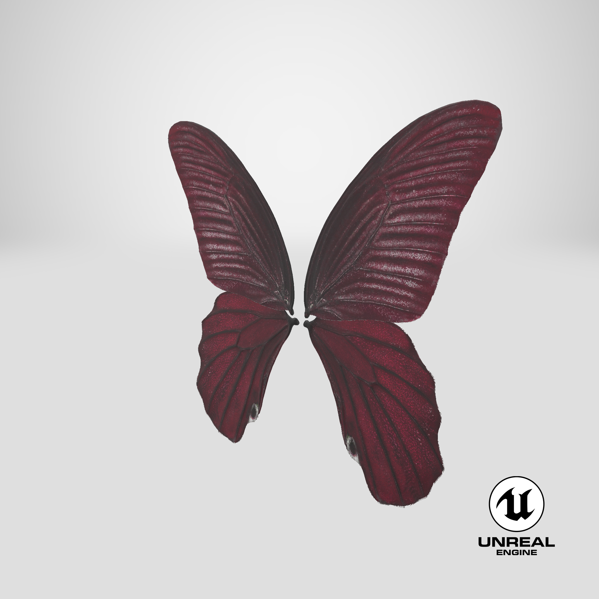 Butterfly Wings 3D model - TurboSquid 1757162