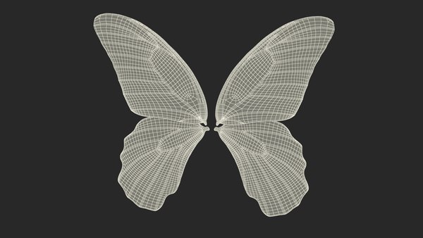 Butterfly Wings 3D model - TurboSquid 1757162
