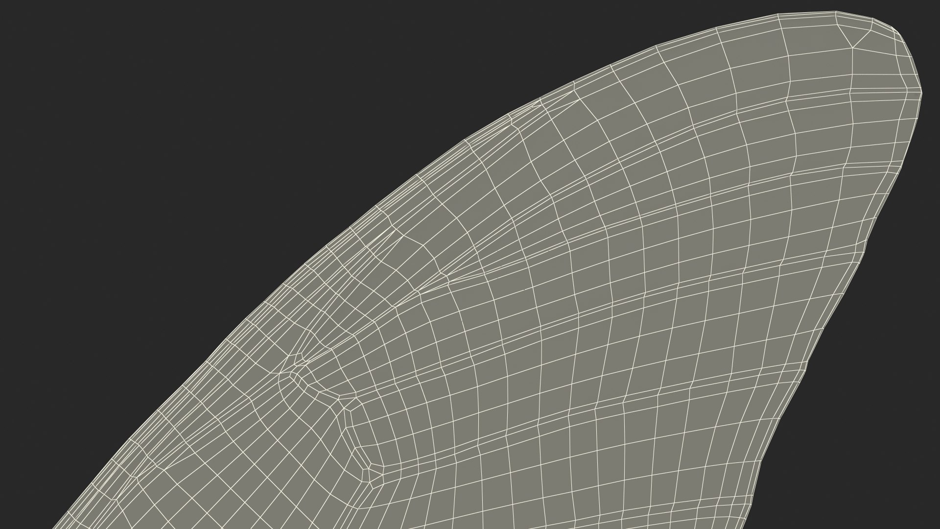 Butterfly Wings 3D Model - TurboSquid 1757162