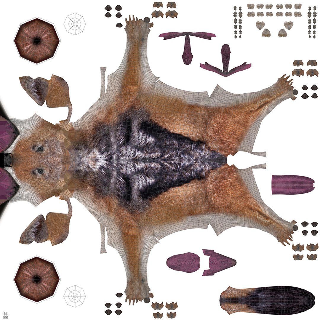 Black Backed Jackal FUR Model - TurboSquid 2161474