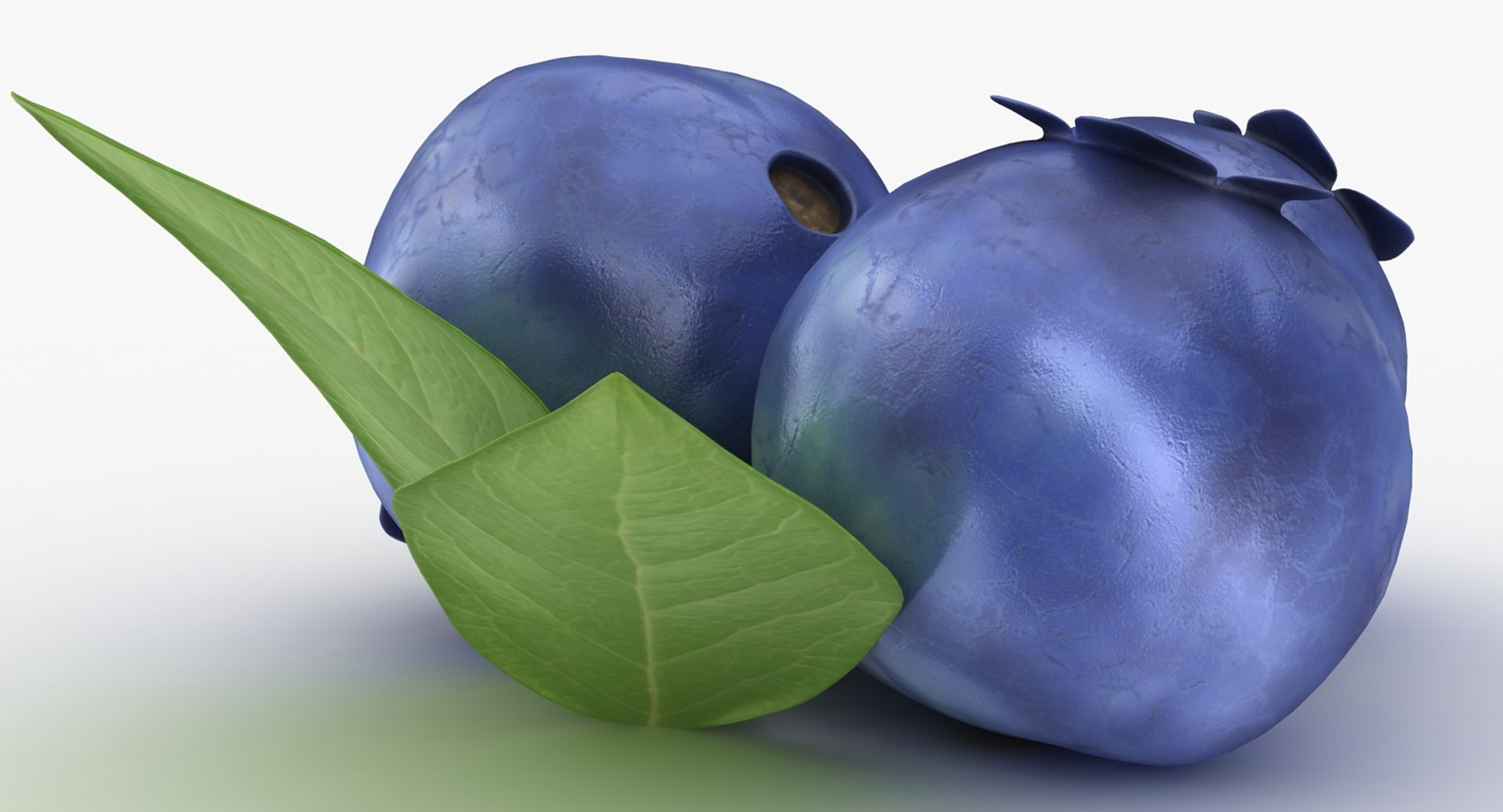 3D Realistic Blueberry Model - TurboSquid 1193432