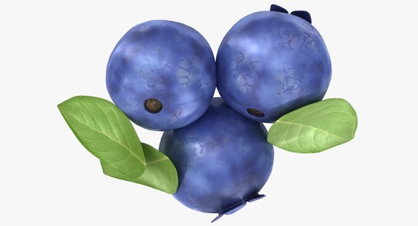 3D realistic blueberry model - TurboSquid 1193432