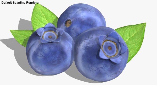 3D realistic blueberry model - TurboSquid 1193432