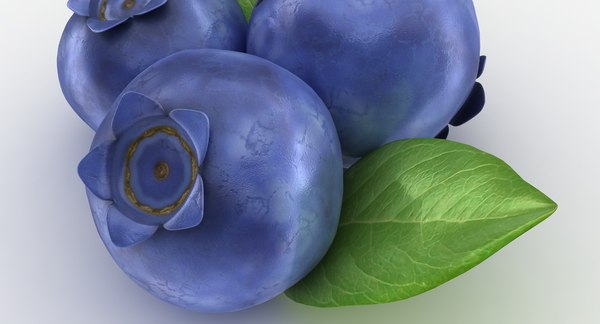 3D realistic blueberry model - TurboSquid 1193432