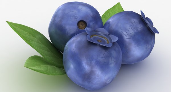 3D realistic blueberry model - TurboSquid 1193432