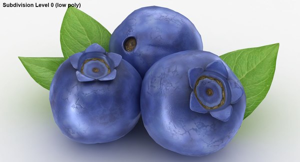 3D realistic blueberry model - TurboSquid 1193432