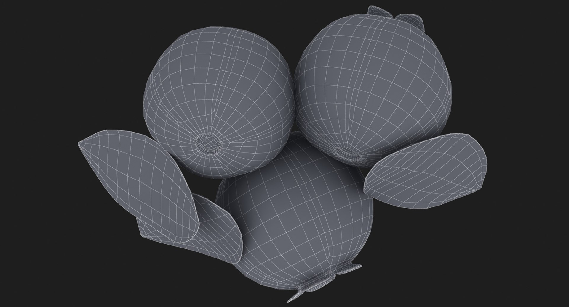 3D Realistic Blueberry Model - TurboSquid 1193432