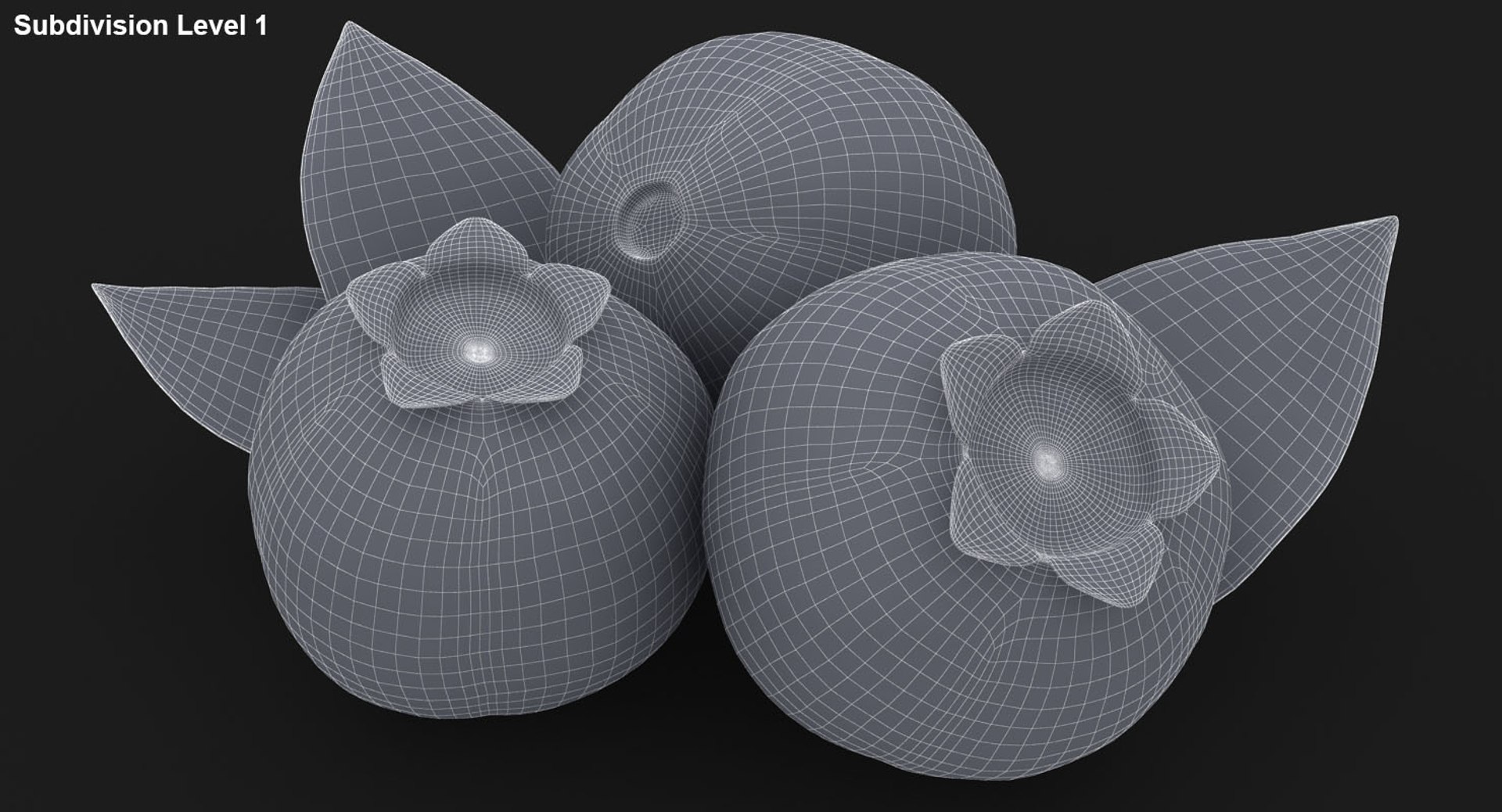 3D Realistic Blueberry Model - TurboSquid 1193432