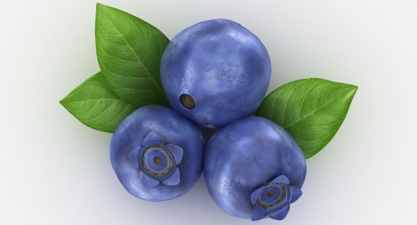 3D realistic blueberry model - TurboSquid 1193432