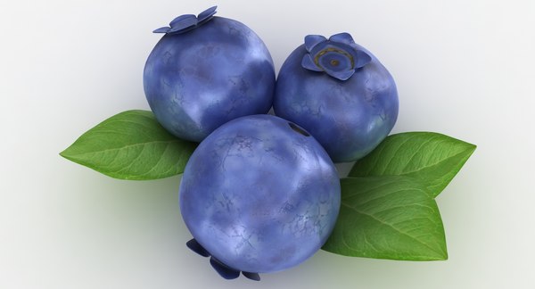 3D realistic blueberry model - TurboSquid 1193432