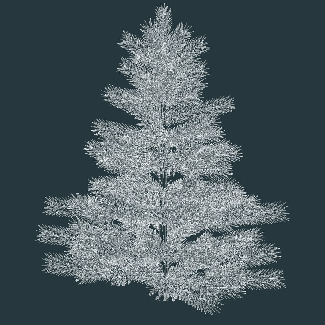 3D Fir Tree Model - TurboSquid 1237418