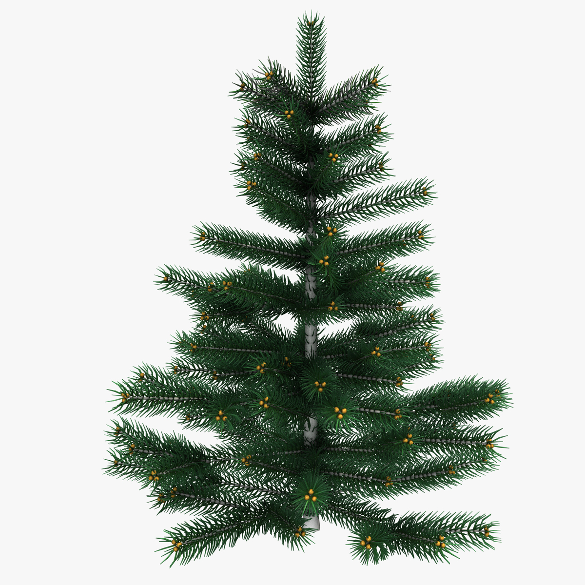 3D fir tree model - TurboSquid 1237418