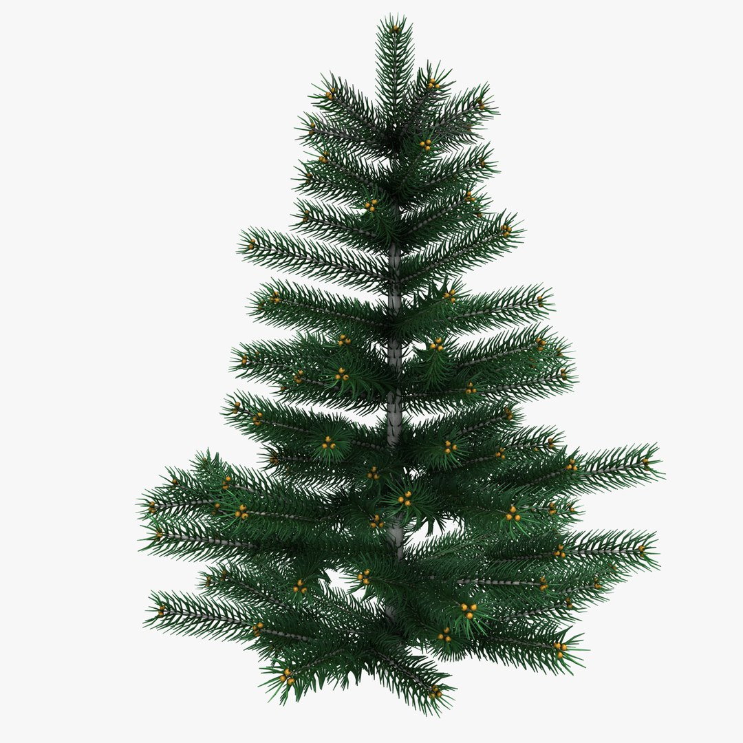 3D Fir Tree Model - TurboSquid 1237418