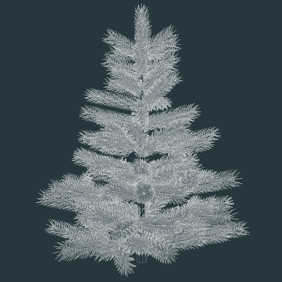 3D Fir Tree Model - TurboSquid 1237418