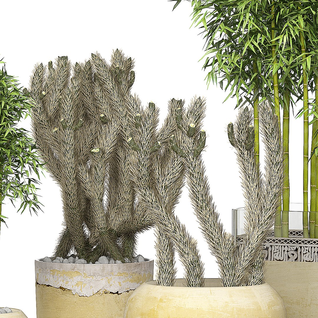 3D Flower Pack 145 Plants - TurboSquid 1640909