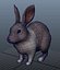 rabbit fbx