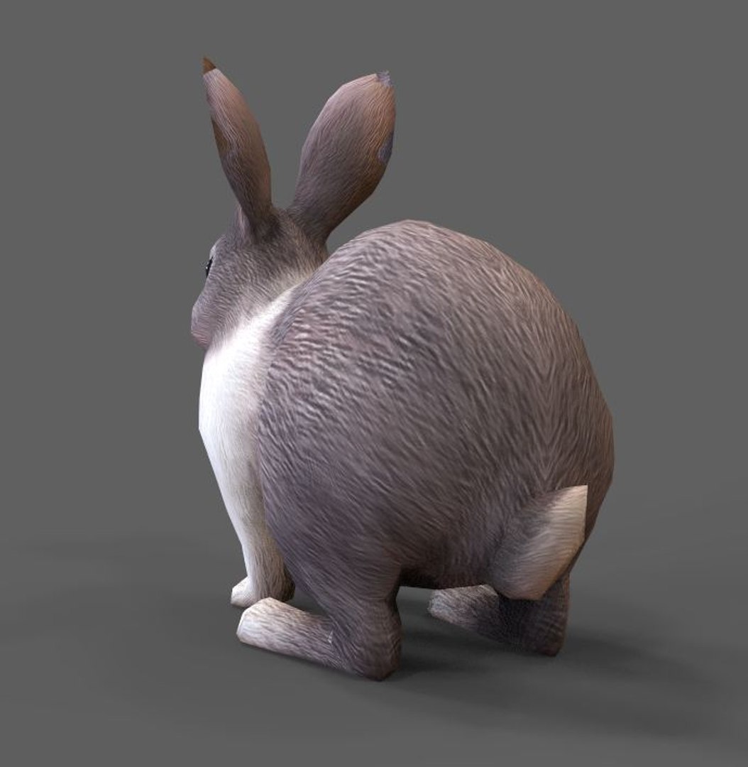 Rabbit Fbx