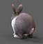 rabbit fbx