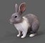 rabbit fbx