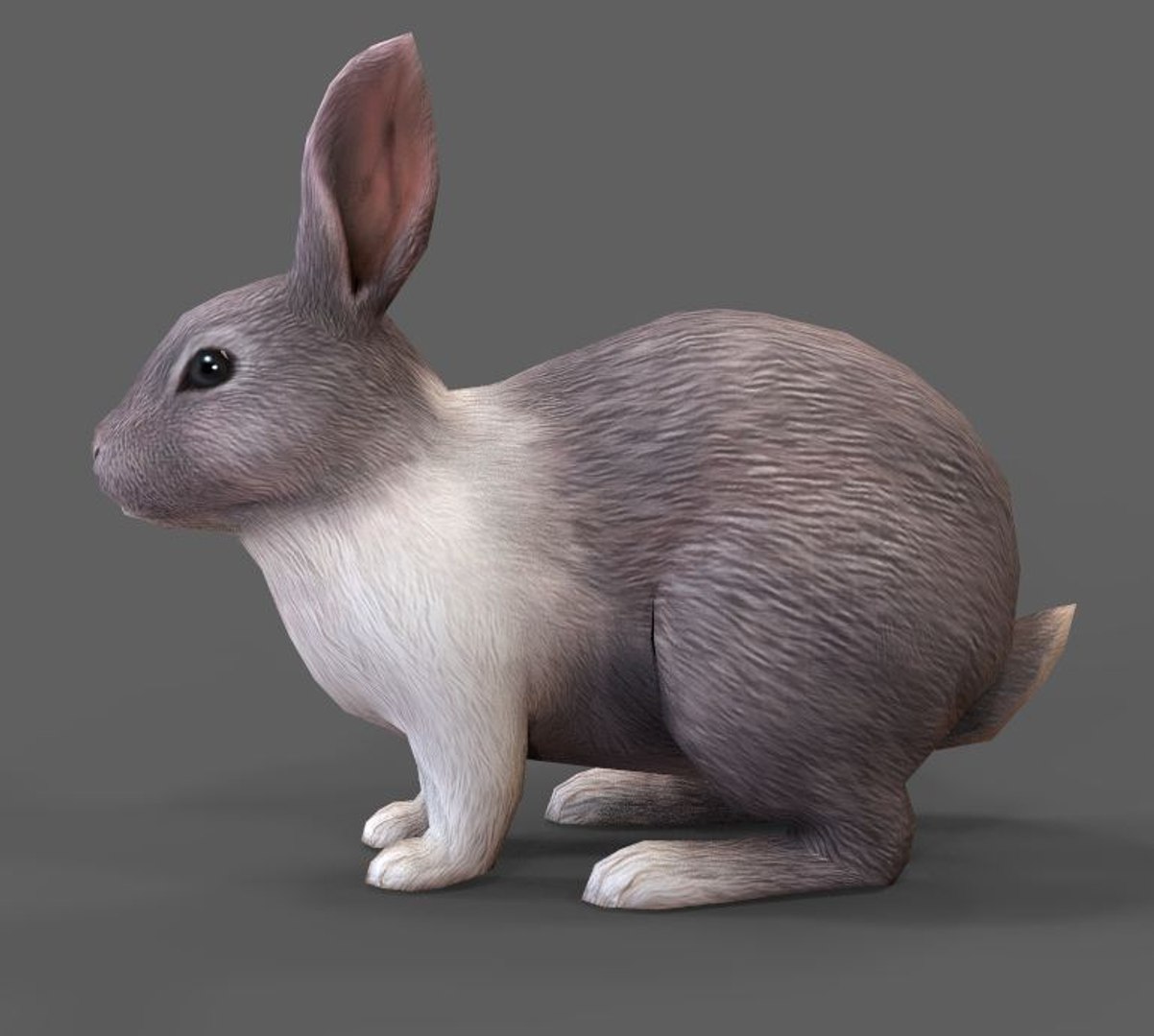 Rabbit Fbx