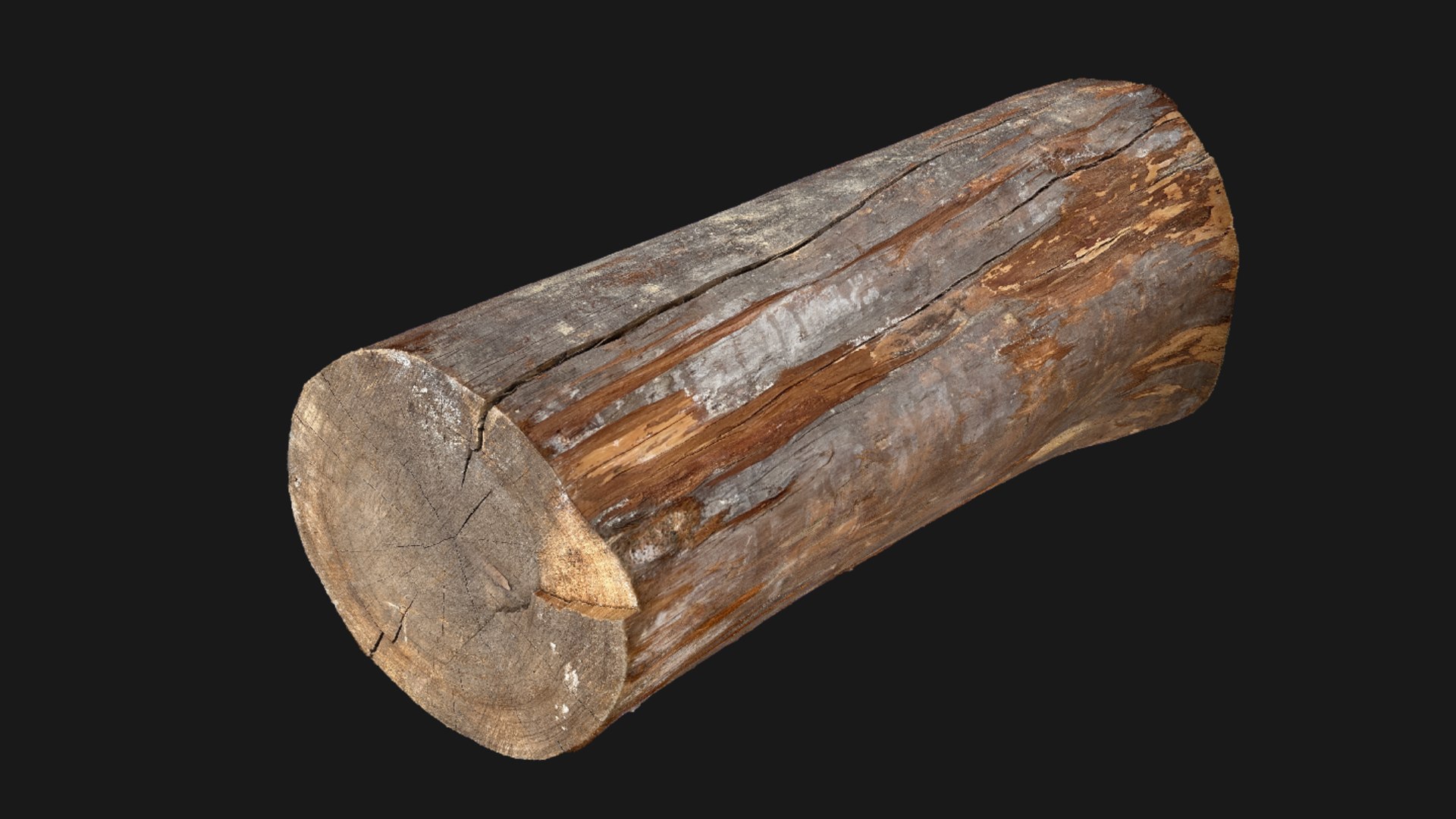 3D Tree Trunk 3d Scan Highpoly Model - TurboSquid 2204686