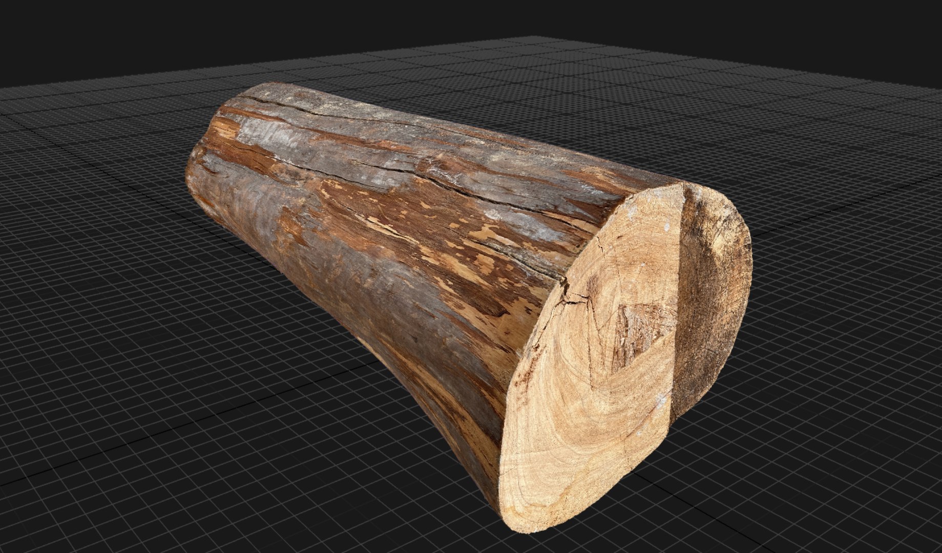 3D Tree Trunk 3d Scan Highpoly Model - TurboSquid 2204686
