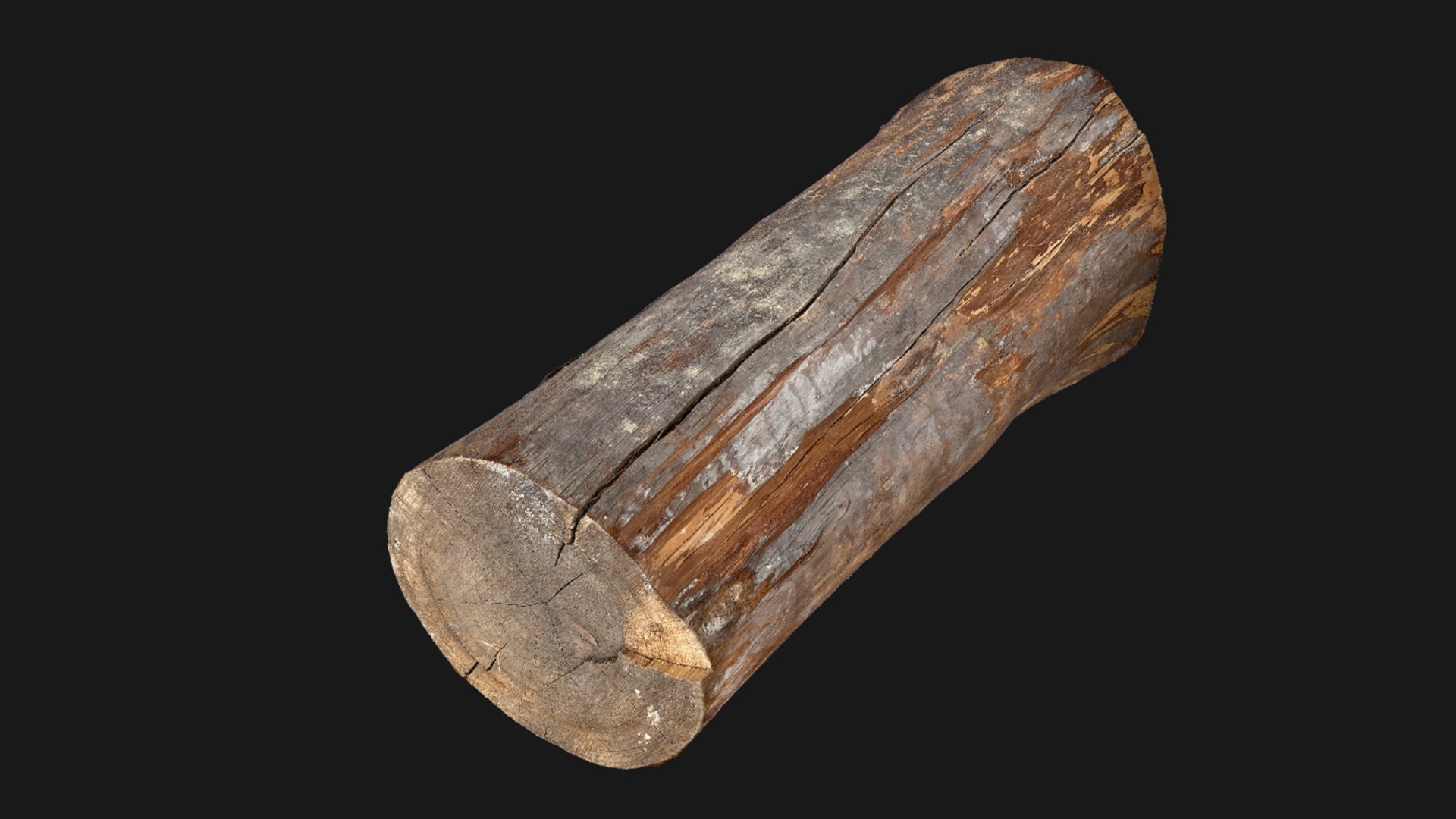 3D Tree Trunk 3d Scan Highpoly Model - TurboSquid 2204686