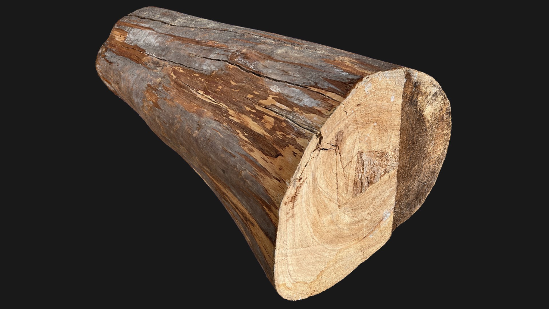 3D Tree Trunk 3d Scan Highpoly Model - TurboSquid 2204686