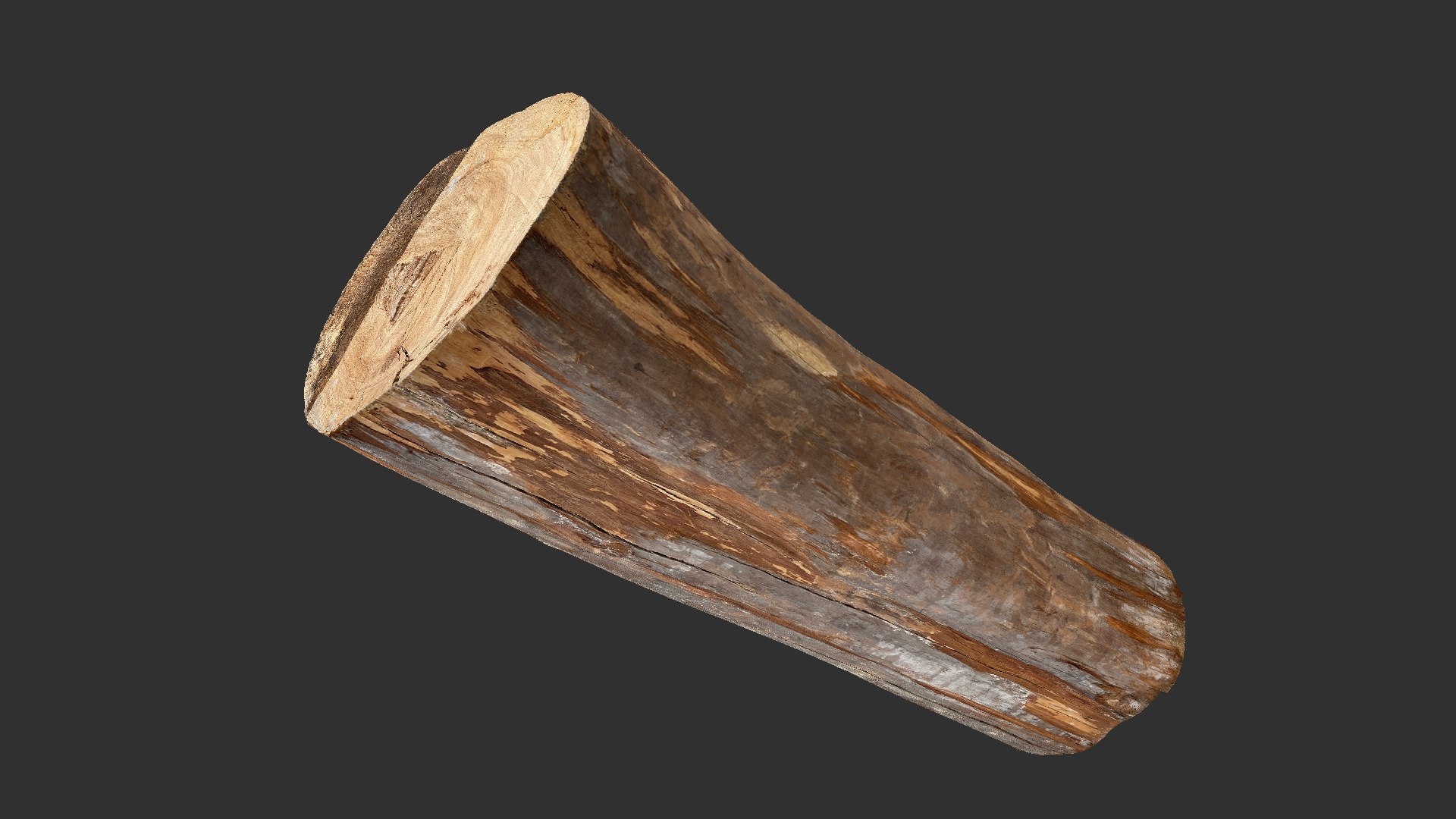 3D Tree Trunk 3d Scan Highpoly Model - TurboSquid 2204686