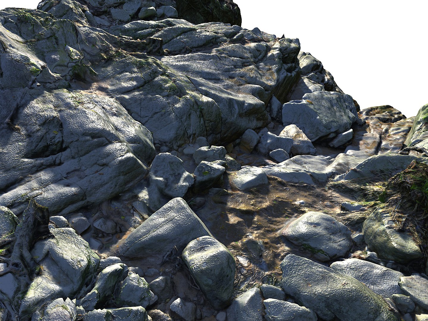 3D jungle rock ground 16k model - TurboSquid 1277455