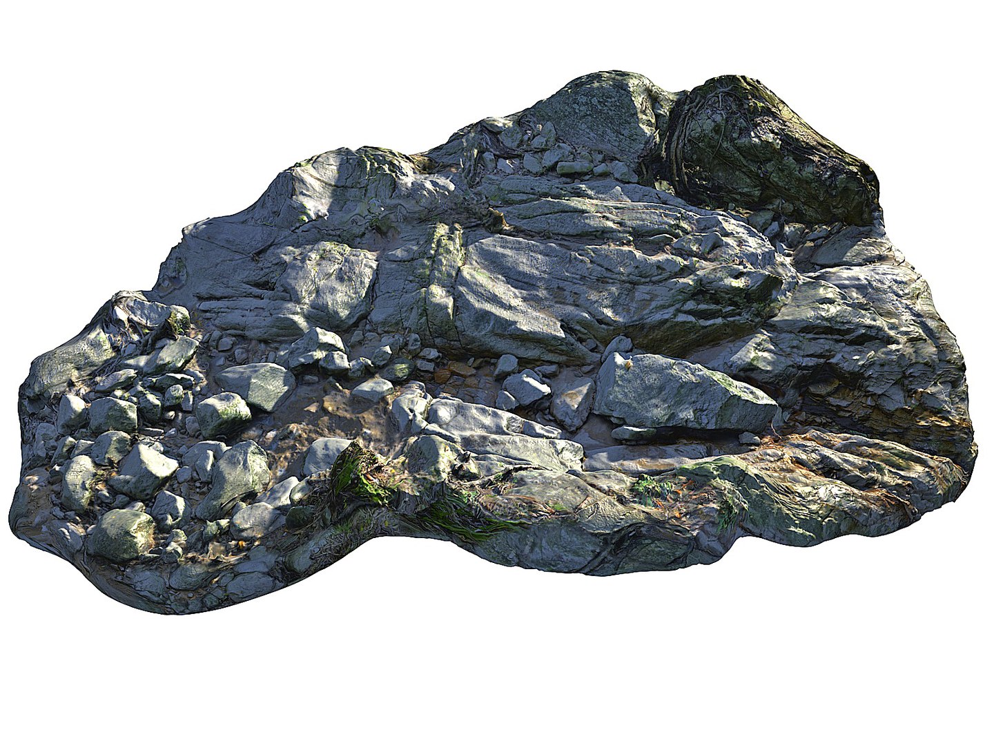 3D jungle rock ground 16k model - TurboSquid 1277455