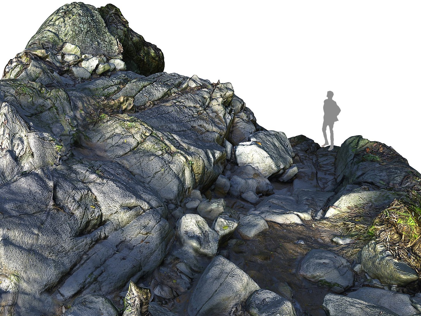 3D jungle rock ground 16k model - TurboSquid 1277455