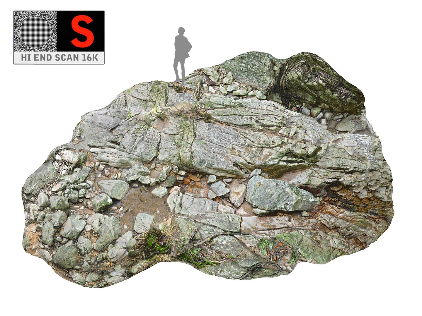 3D jungle rock ground 16k model - TurboSquid 1277455