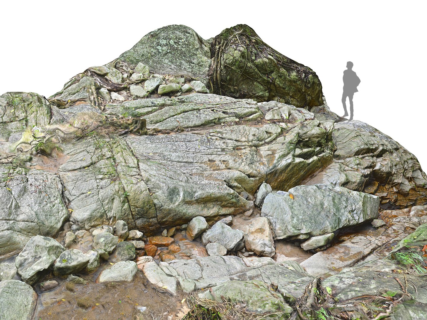 3D jungle rock ground 16k model - TurboSquid 1277455