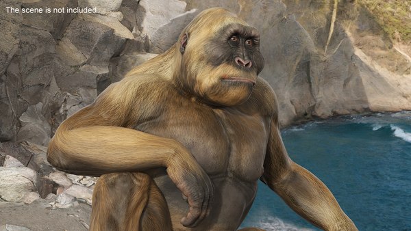 modelo 3d Gigantopithecus, un gran simio, manipulado - TurboSquid 2311856