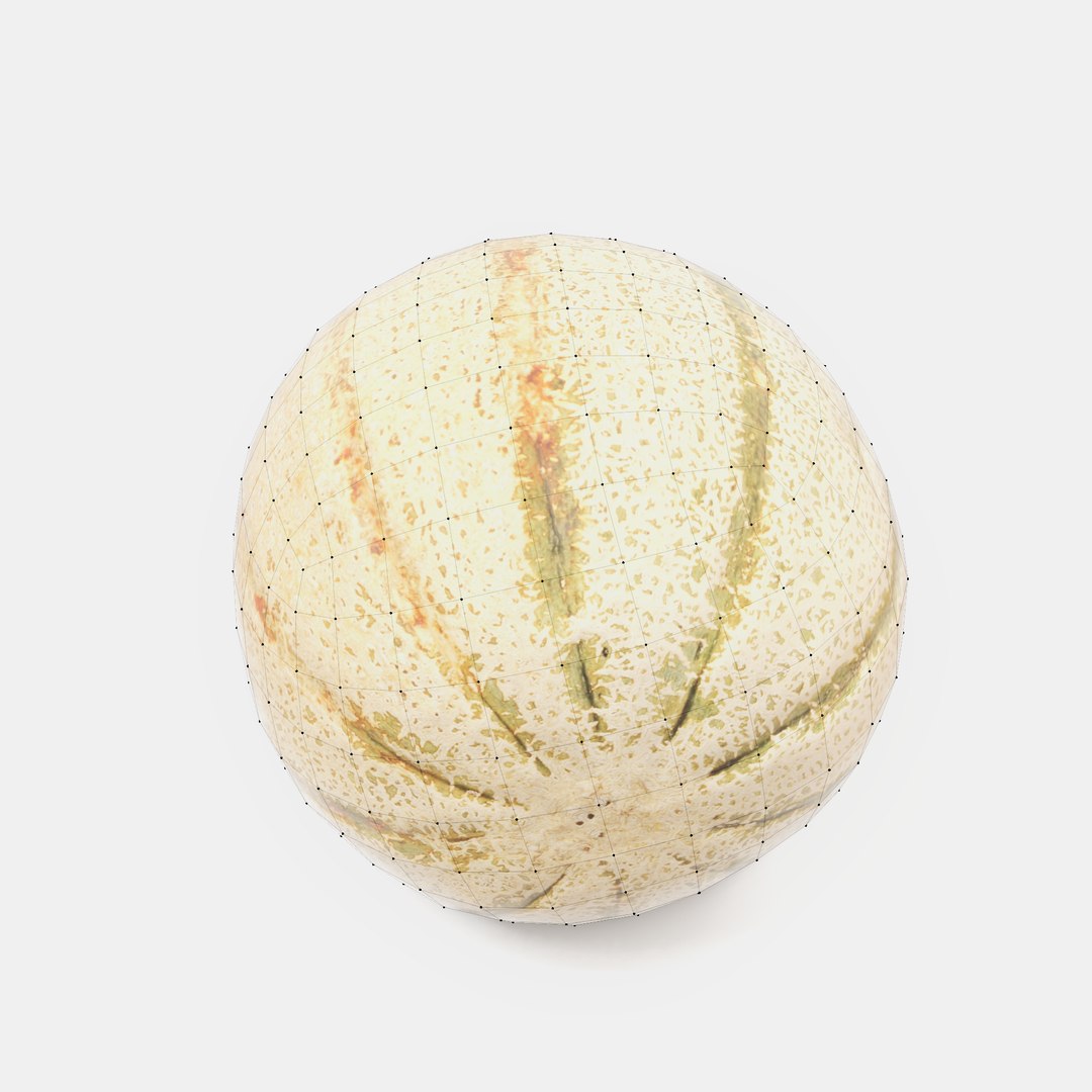 Melon Food Fruit 3D Model - TurboSquid 1628080