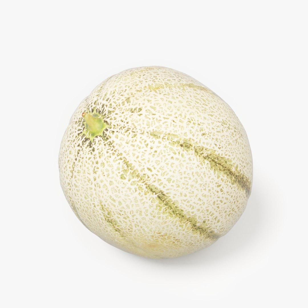 Melon Food Fruit 3D Model - TurboSquid 1628080